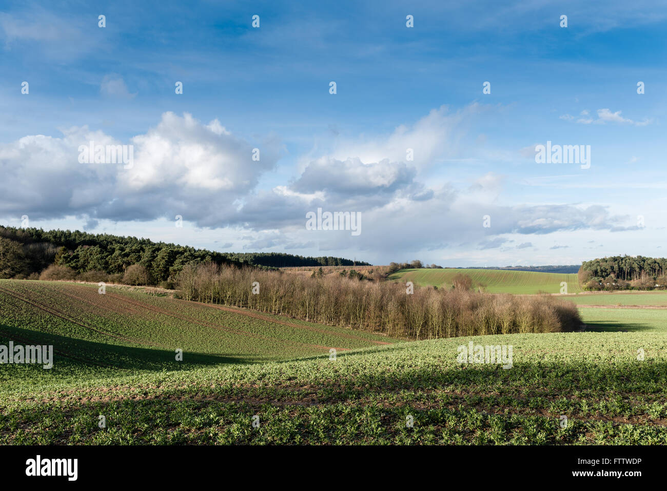 Misk Hills ,Hucknall Nottinghamshire,UK Stock Photo - Alamy