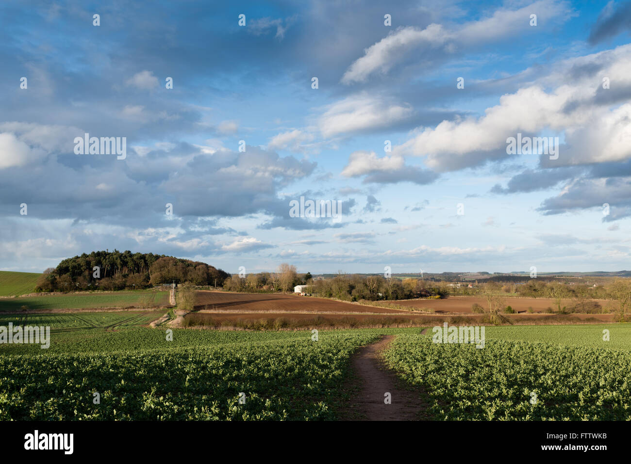 Nottinghamshire countryside hi-res stock photography and images - Alamy