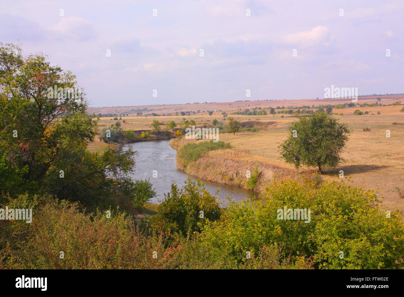 Steppe trees hi-res stock photography and images - Alamy