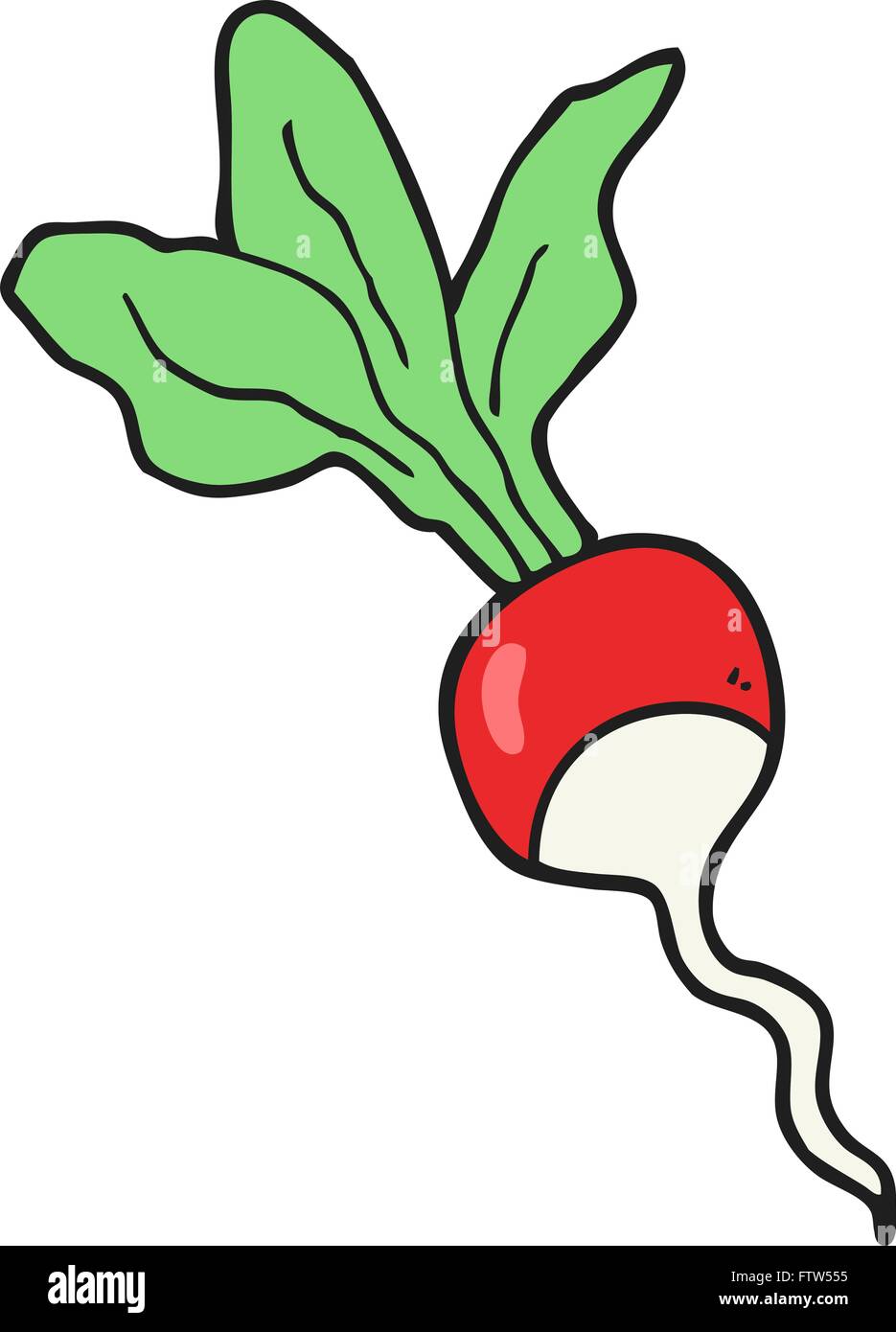 freehand drawn cartoon radish Stock Vector Image & Art - Alamy