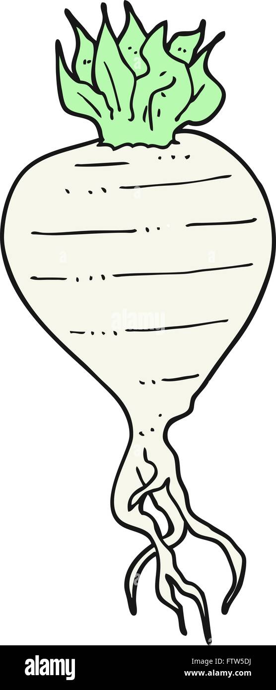 freehand drawn cartoon turnip Stock Vector Image & Art - Alamy