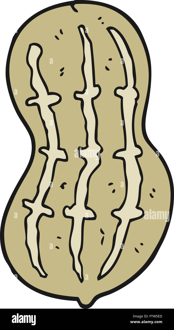 freehand drawn cartoon peanut Stock Vector Image & Art - Alamy