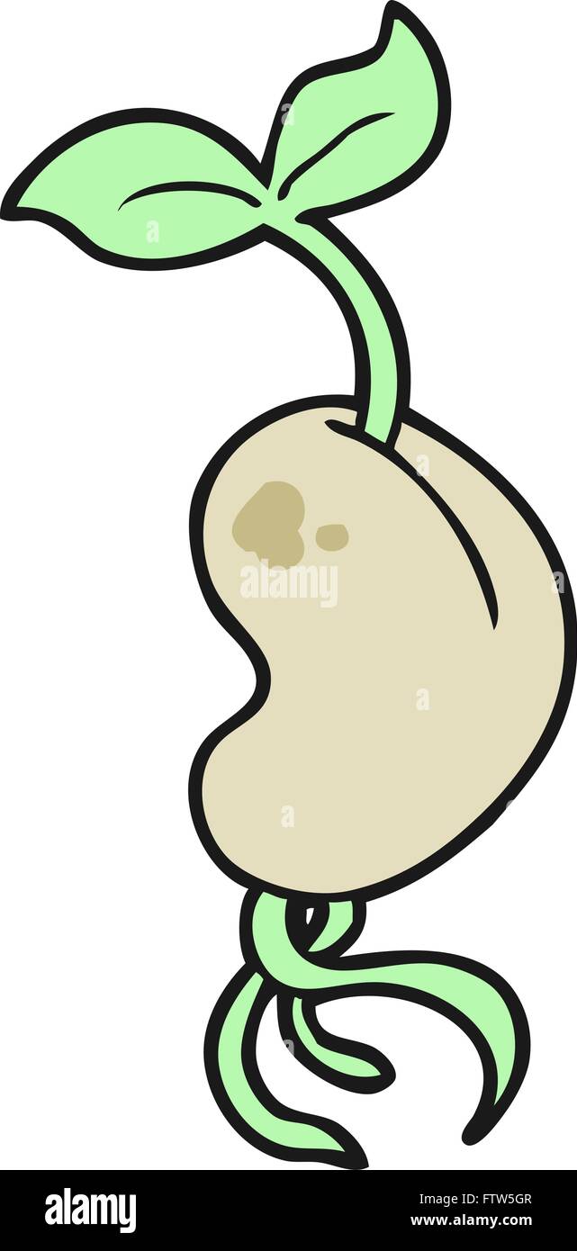 freehand drawn cartoon sprouting seed Stock Vector Image & Art - Alamy