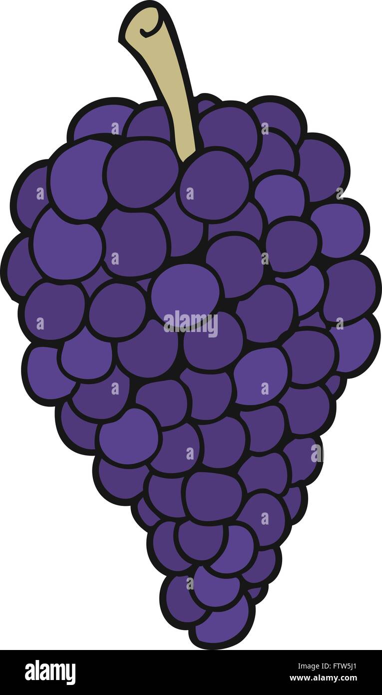 freehand drawn cartoon grapes Stock Vector Image & Art - Alamy