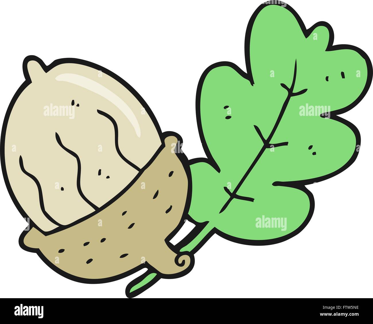 freehand drawn cartoon acorn Stock Vector Image & Art - Alamy
