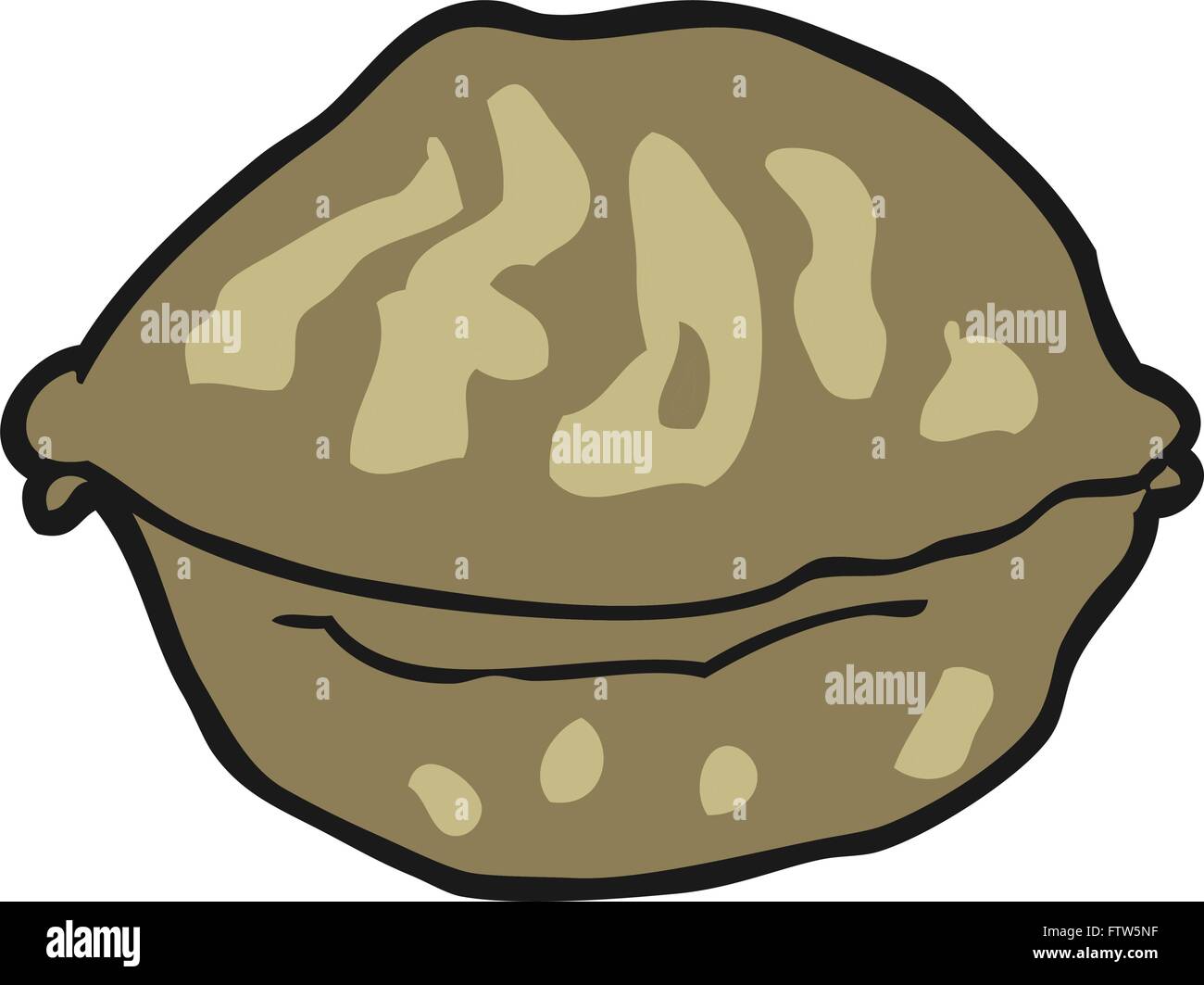 freehand drawn cartoon walnut in shell Stock Vector Image & Art - Alamy