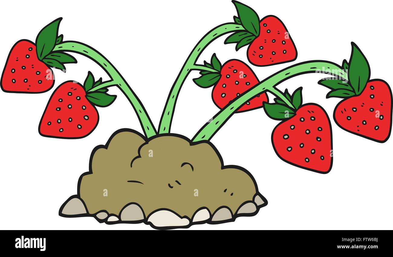 freehand drawn cartoon strawberries Stock Vector Image & Art - Alamy