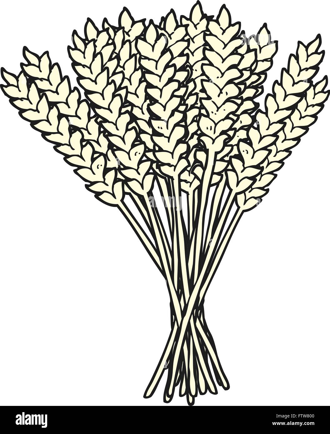 freehand drawn cartoon wheat Stock Vector Image & Art - Alamy