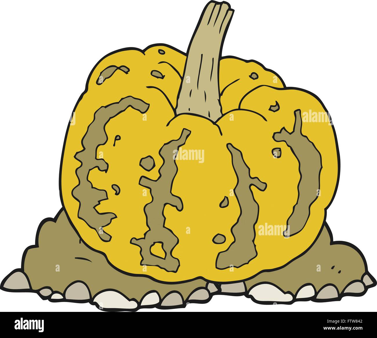 freehand drawn cartoon squash Stock Vector Image & Art - Alamy