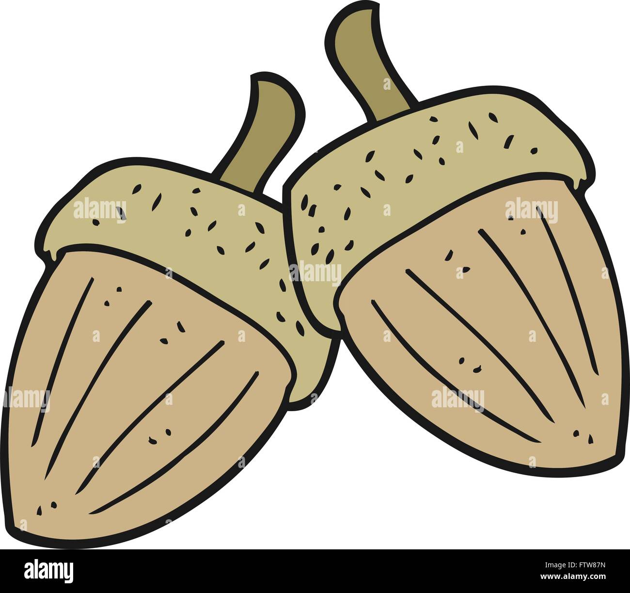 freehand drawn cartoon acorns Stock Vector Image & Art - Alamy