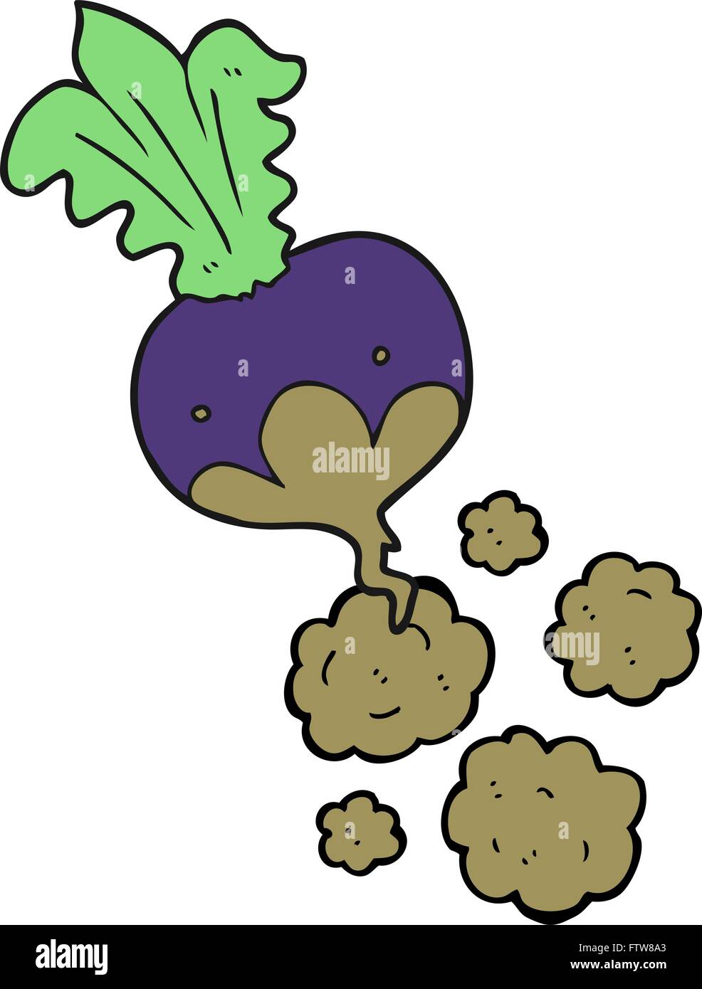 freehand drawn cartoon beet Stock Vector Image & Art - Alamy