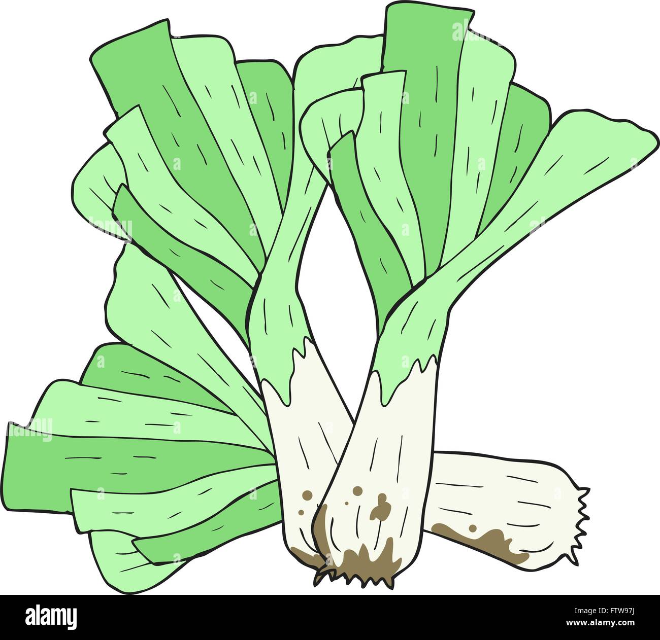 freehand drawn cartoon leeks Stock Vector Image & Art - Alamy