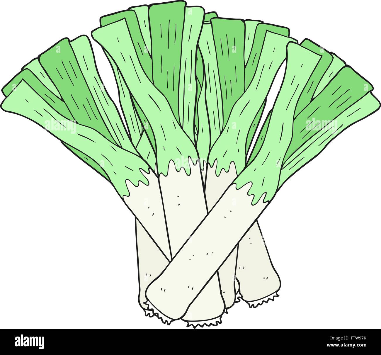 freehand drawn cartoon leeks Stock Vector Image & Art - Alamy