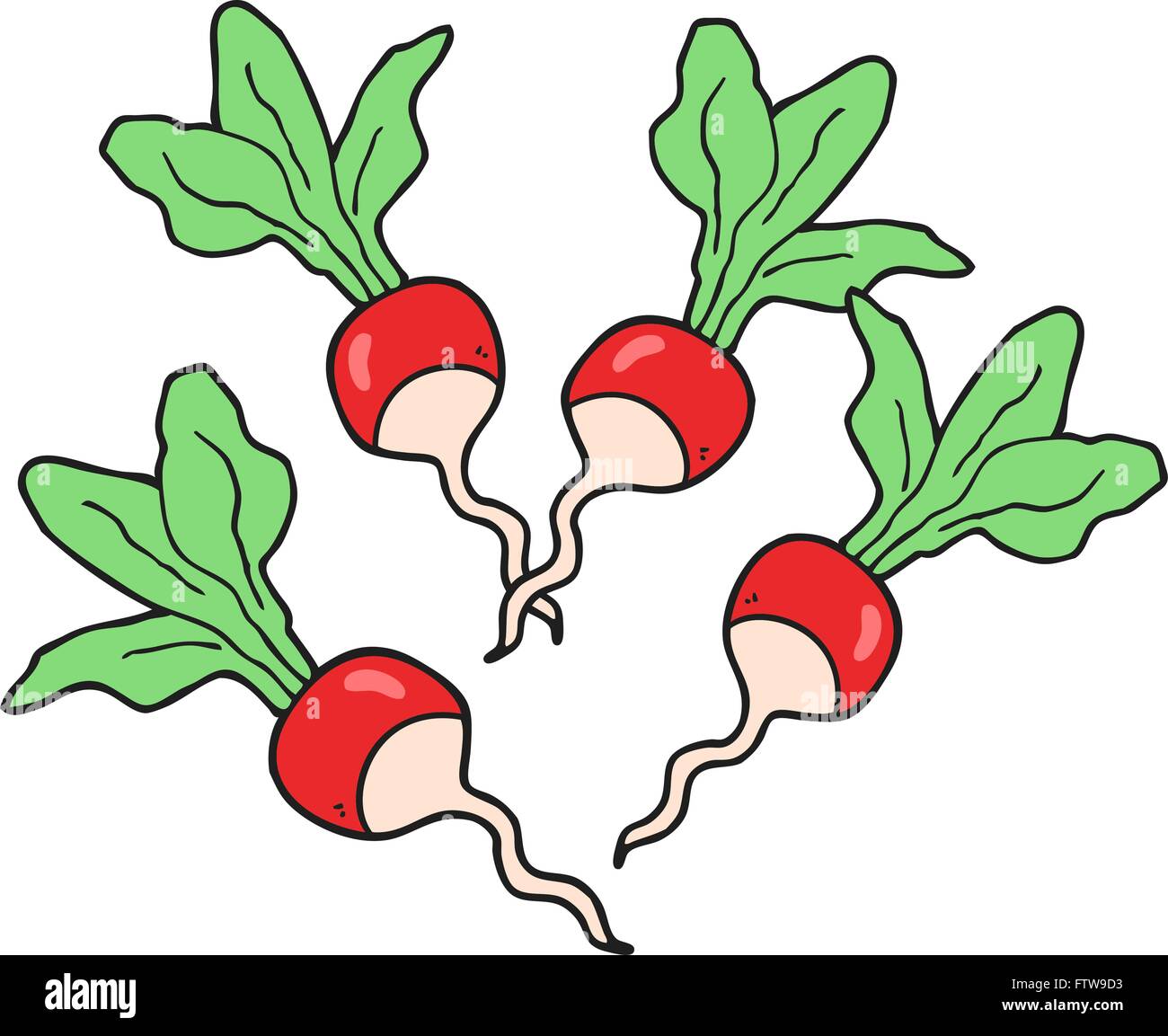 freehand drawn cartoon radishs Stock Vector Image & Art - Alamy