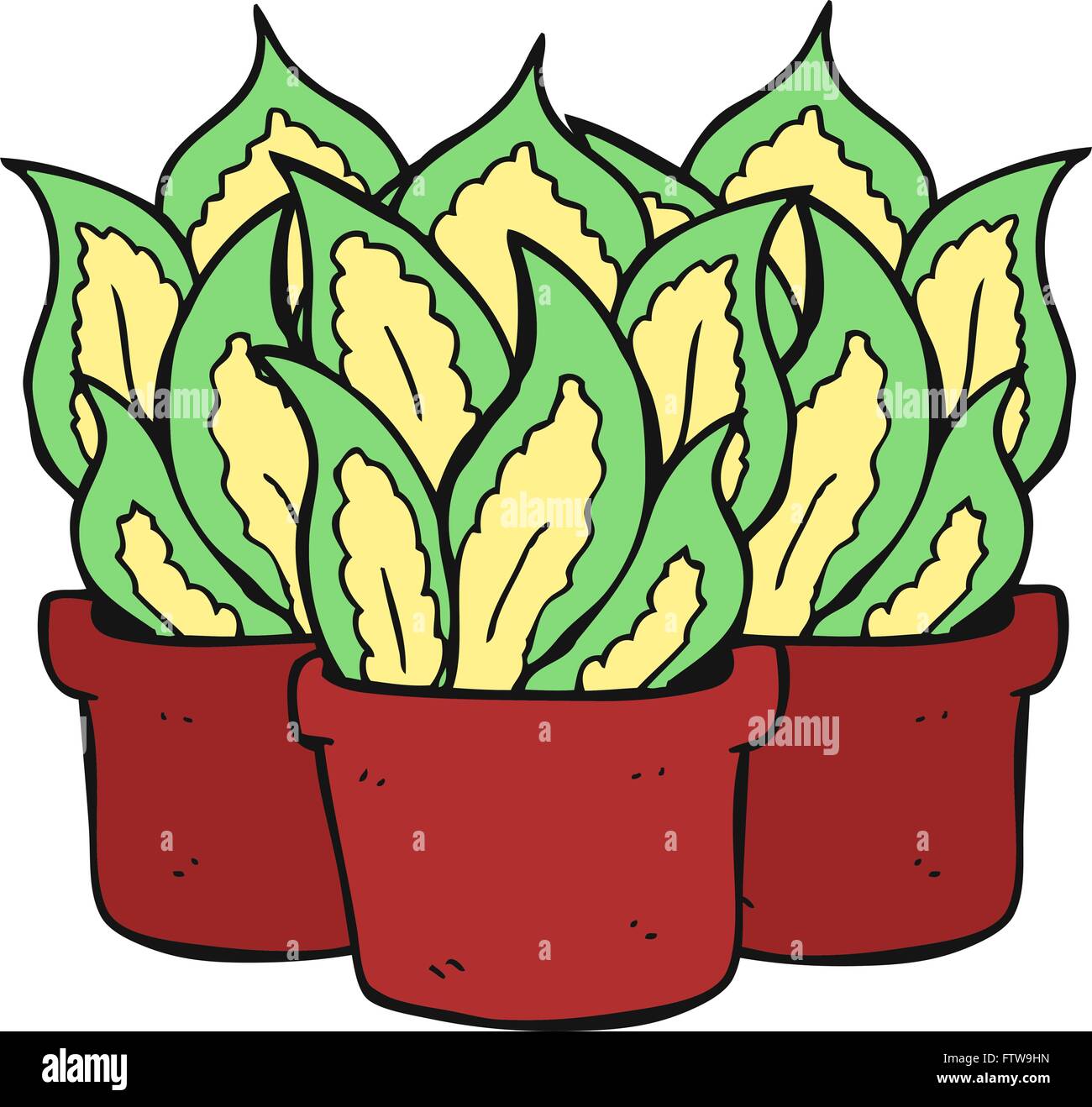freehand drawn cartoon house plants Stock Vector Image & Art - Alamy