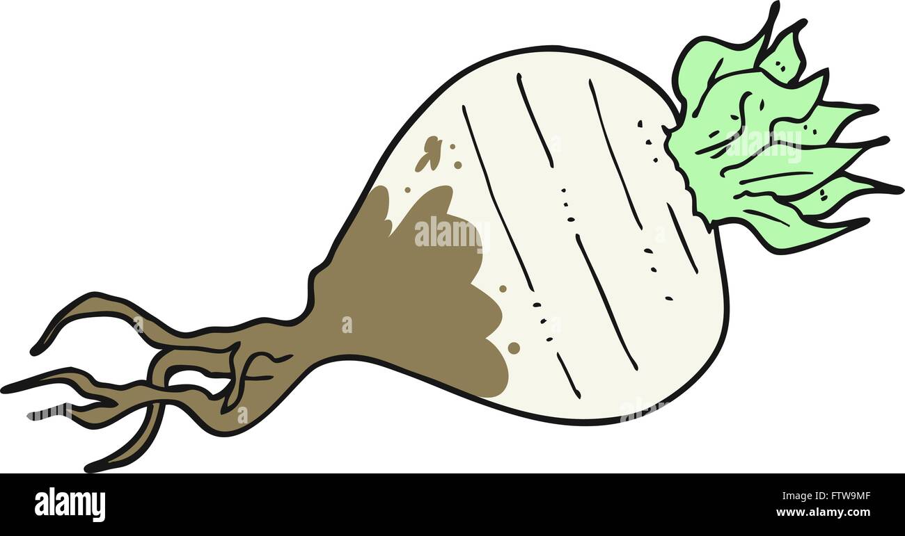 freehand drawn cartoon turnip Stock Vector Image & Art - Alamy