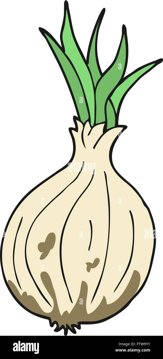 freehand drawn cartoon onion Stock Vector Image & Art - Alamy