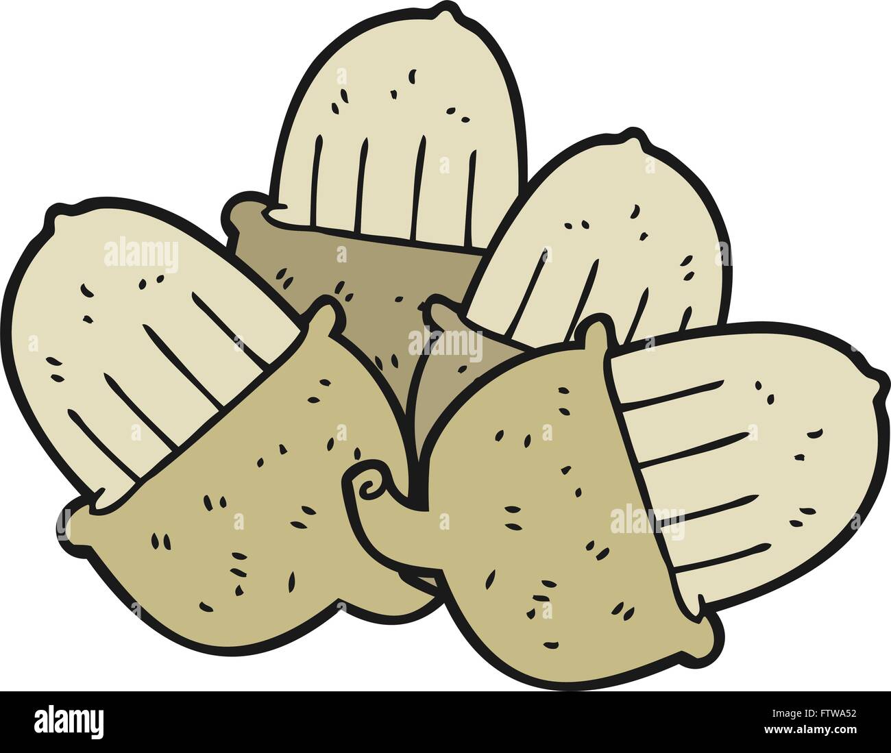 freehand drawn cartoon acorns Stock Vector Image & Art - Alamy