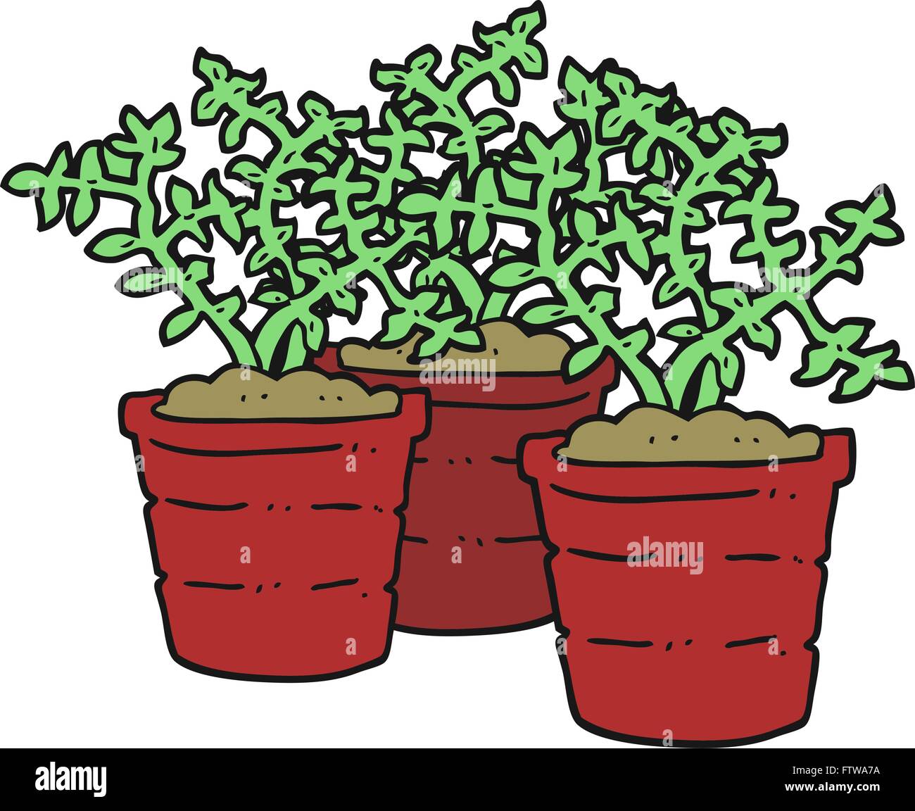 freehand drawn cartoon potted plants Stock Vector Image & Art - Alamy