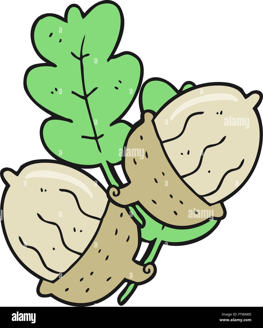 freehand drawn cartoon acorns Stock Vector Image & Art - Alamy