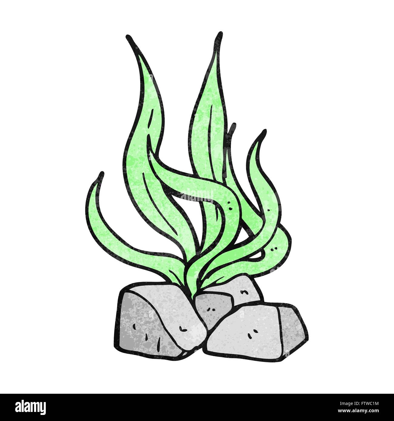 freehand textured cartoon seaweed Stock Vector Image & Art - Alamy