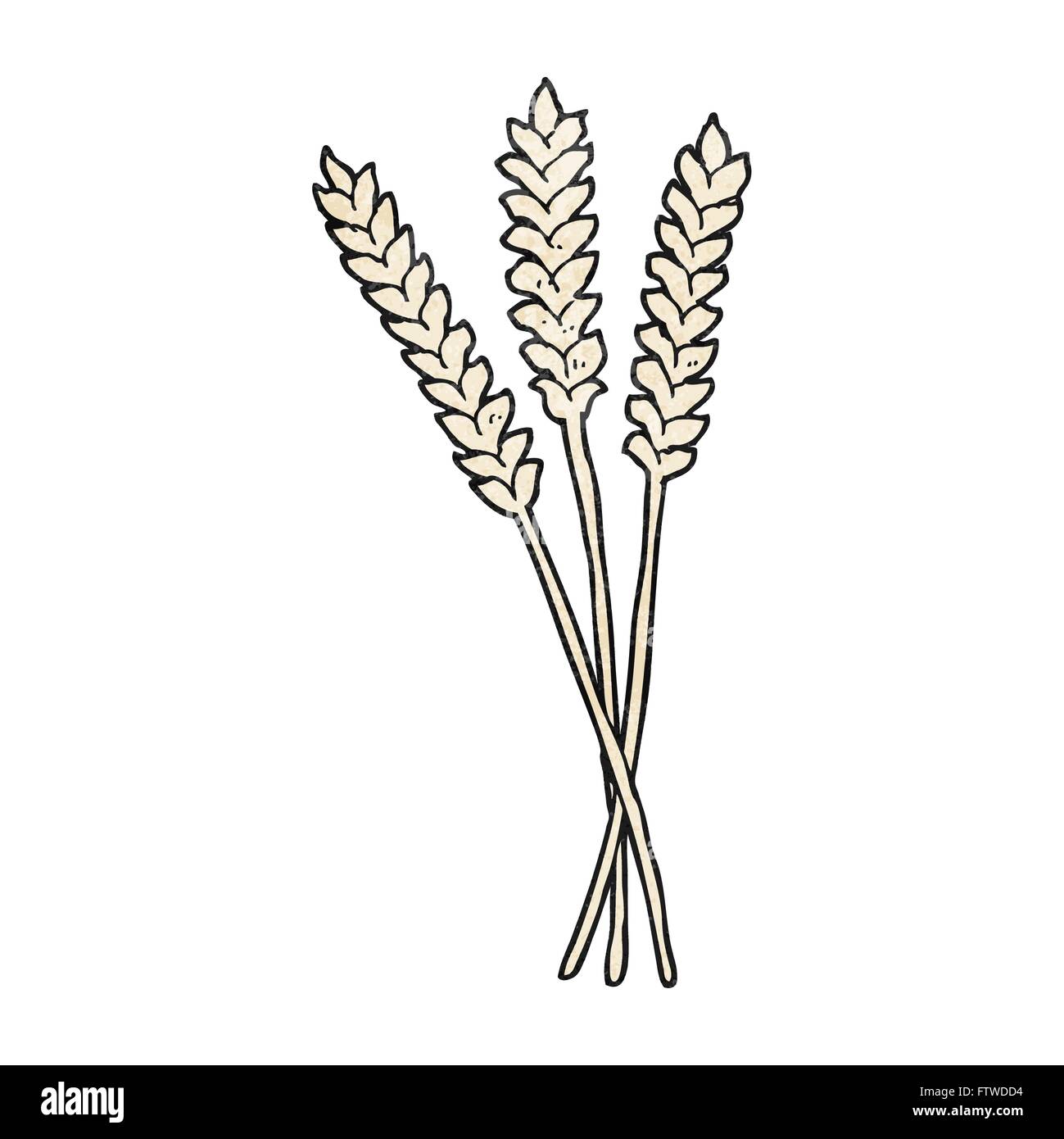 freehand textured cartoon wheat Stock Vector Image & Art - Alamy