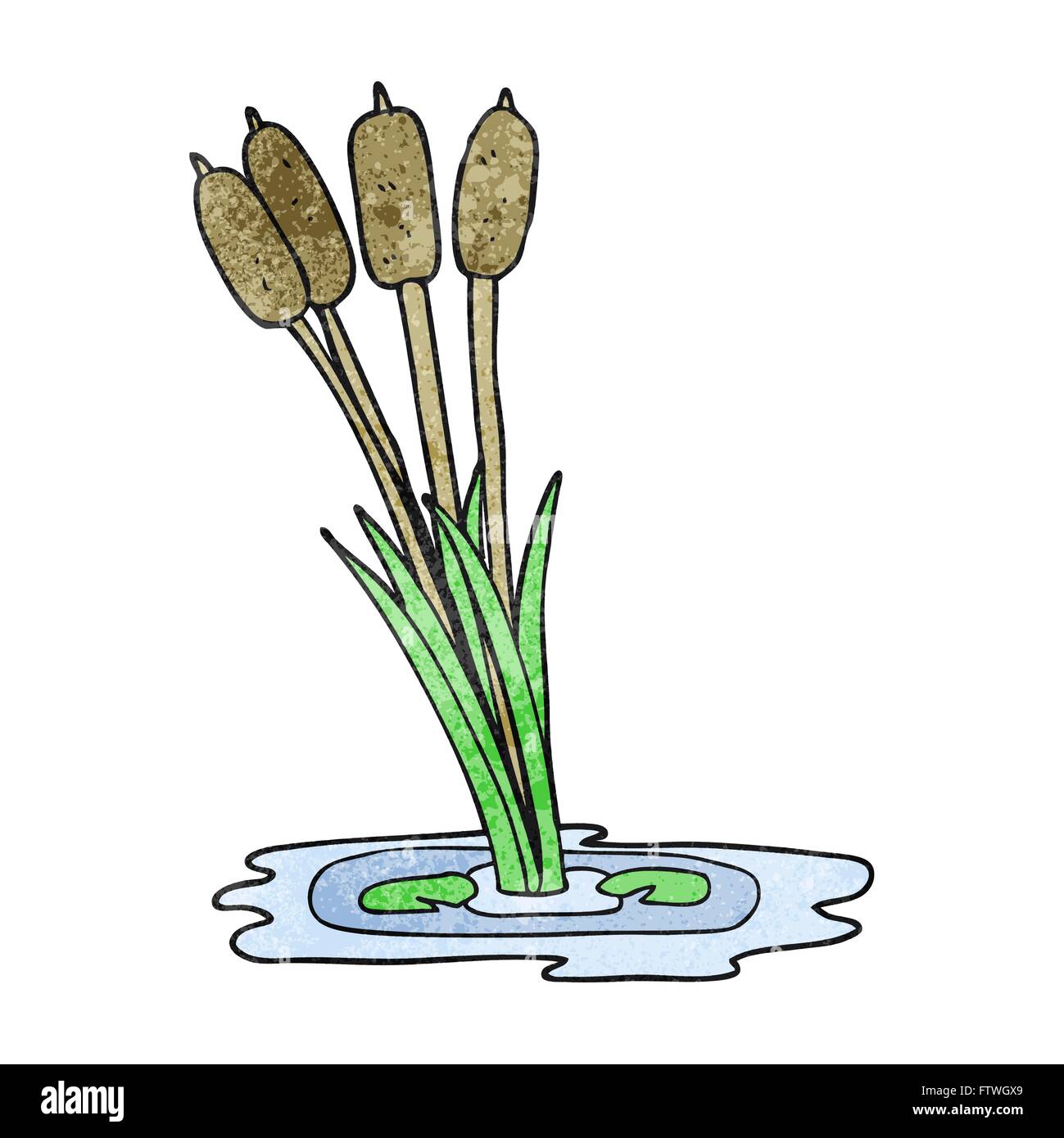 Bullrush Cut Out Stock Images & Pictures - Alamy