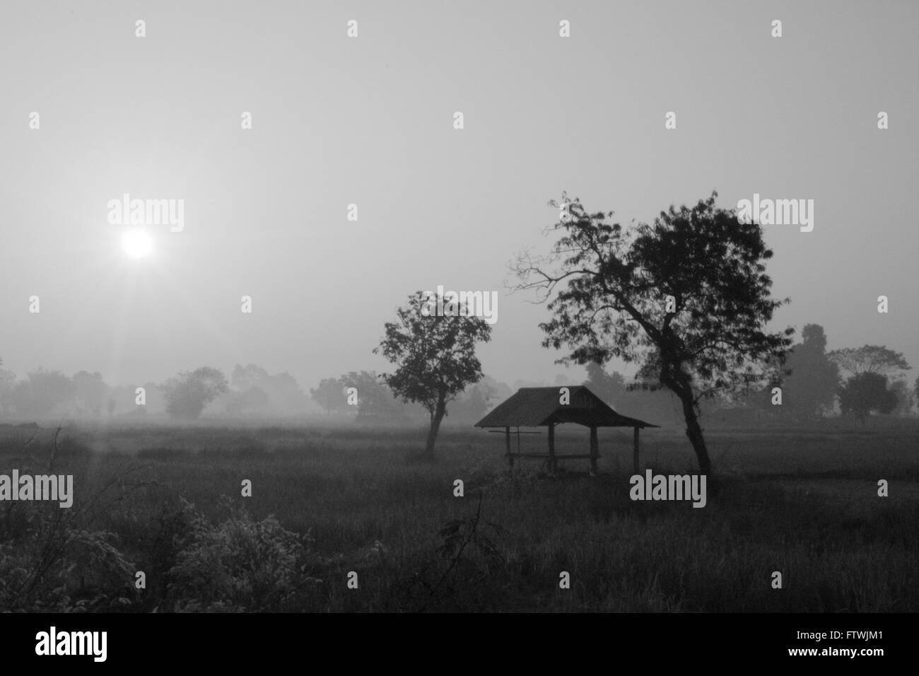 Beautiful sunset countryside fields Black and White Stock Photos ...