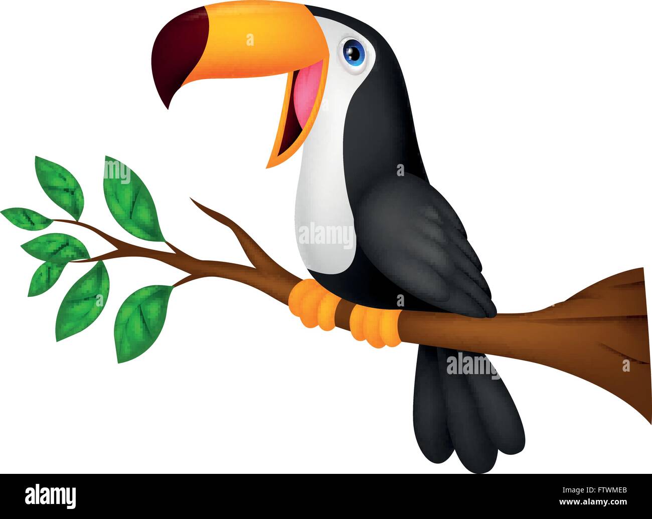 Cute toucan bird cartoon Stock Vector Image & Art - Alamy