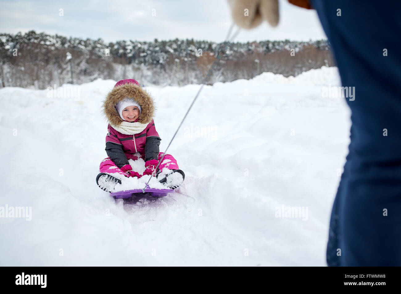 parent carrying happy little kid on sled in winter Stock Photo - Alamy
