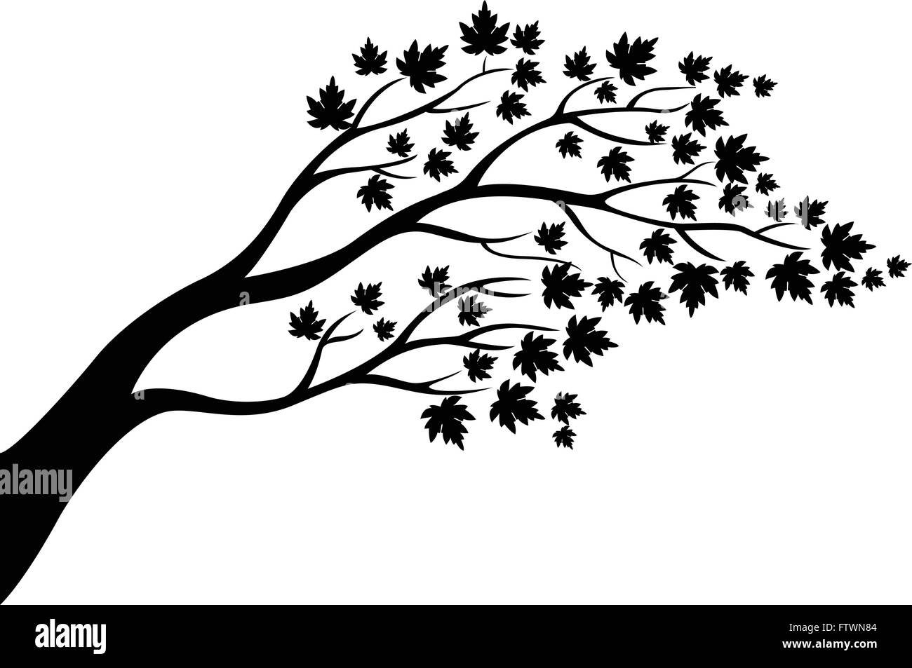 Maple tree silhouette Stock Vector Image & Art - Alamy
