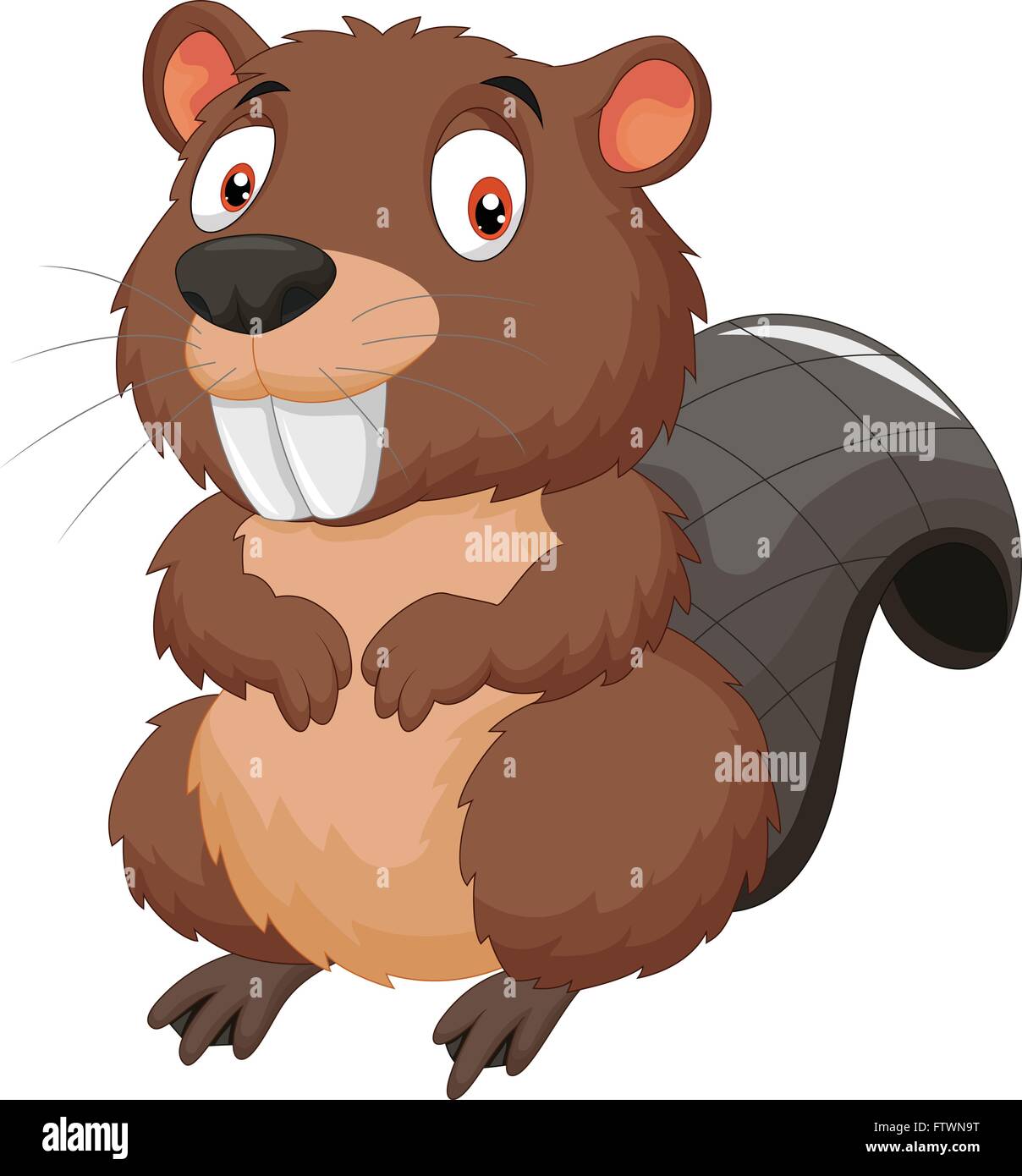 Little beaver Stock Vector Images - Alamy