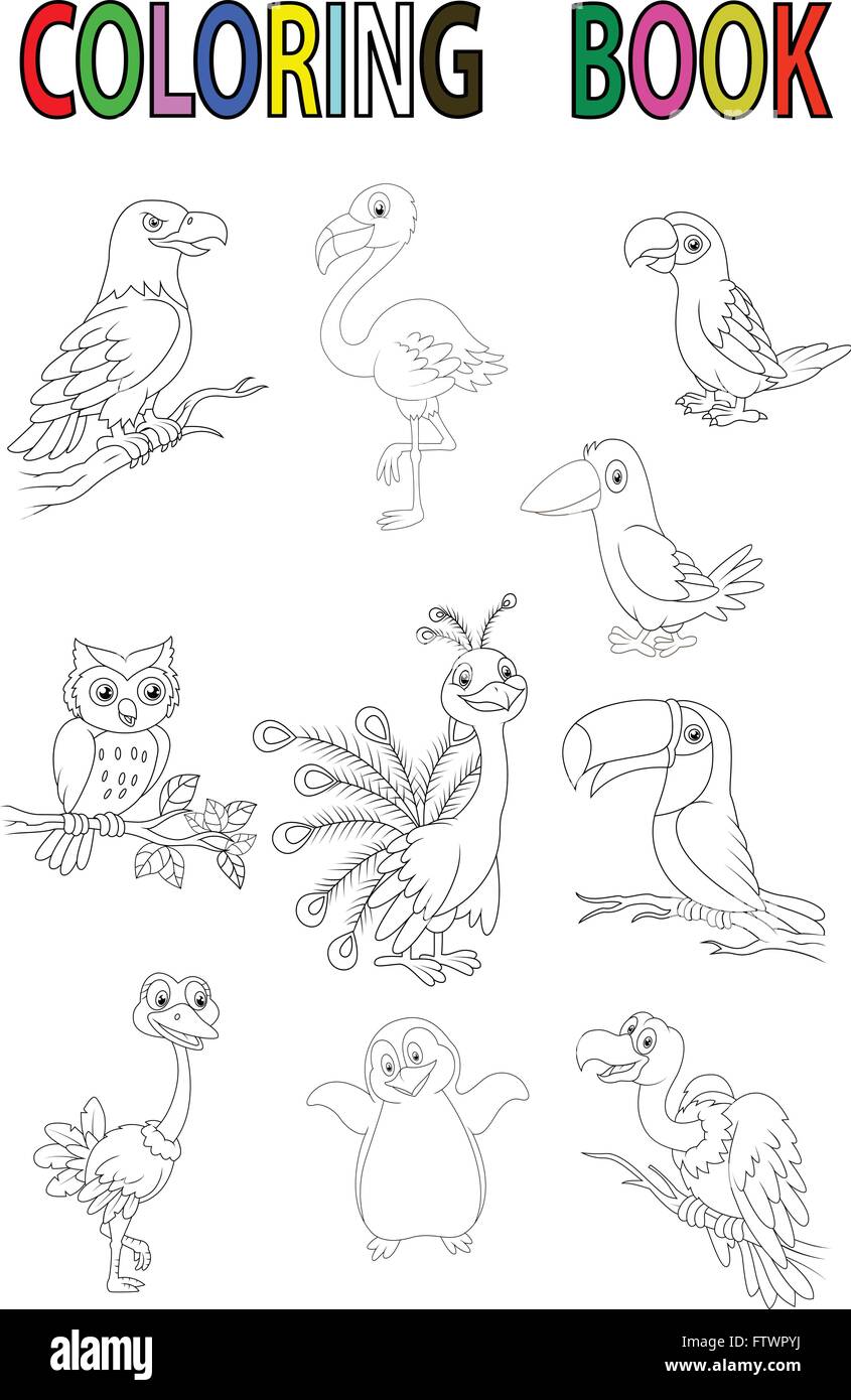Cartoon bird coloring book Stock Vector Image & Art - Alamy