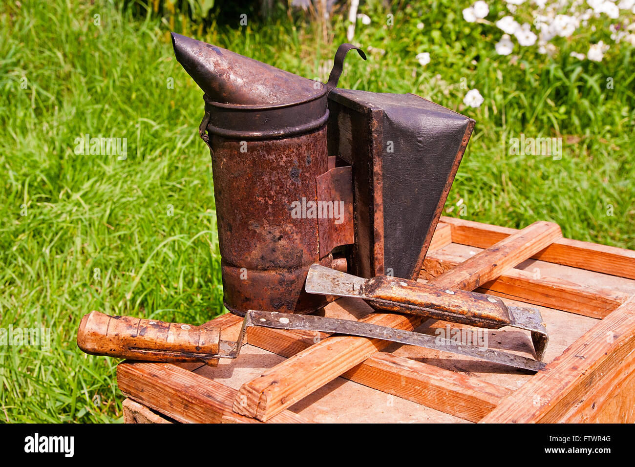 Vintage smoker and different kinds of beekeeper knifes on the wooden ...