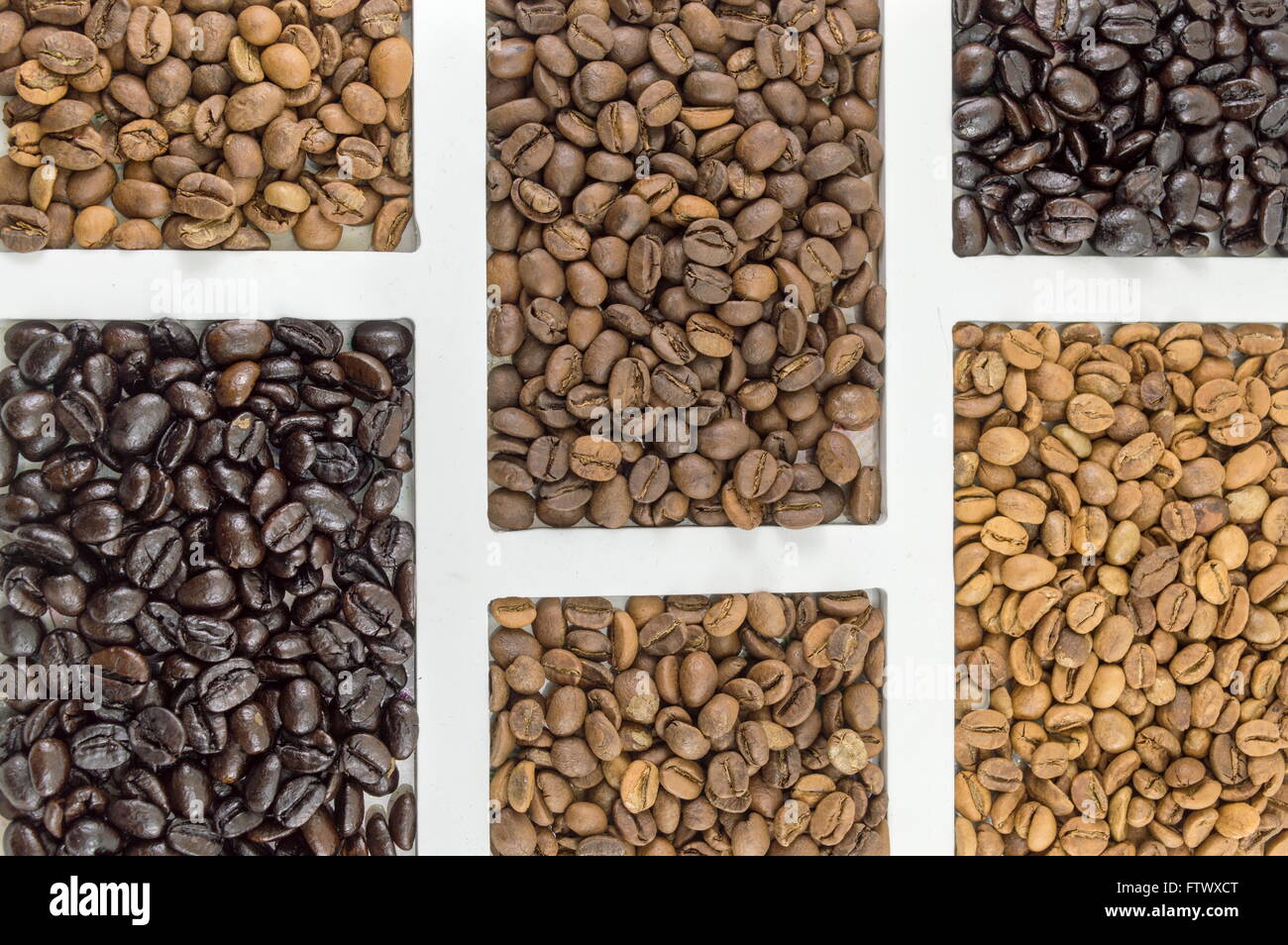 different types of coffee grains in white container shot flat Stock ...