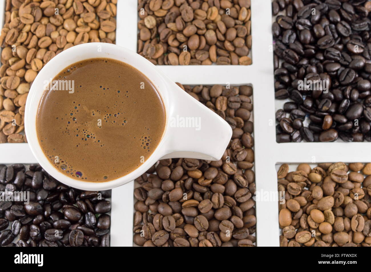 different types of coffee grains in white container shot flat Stock ...