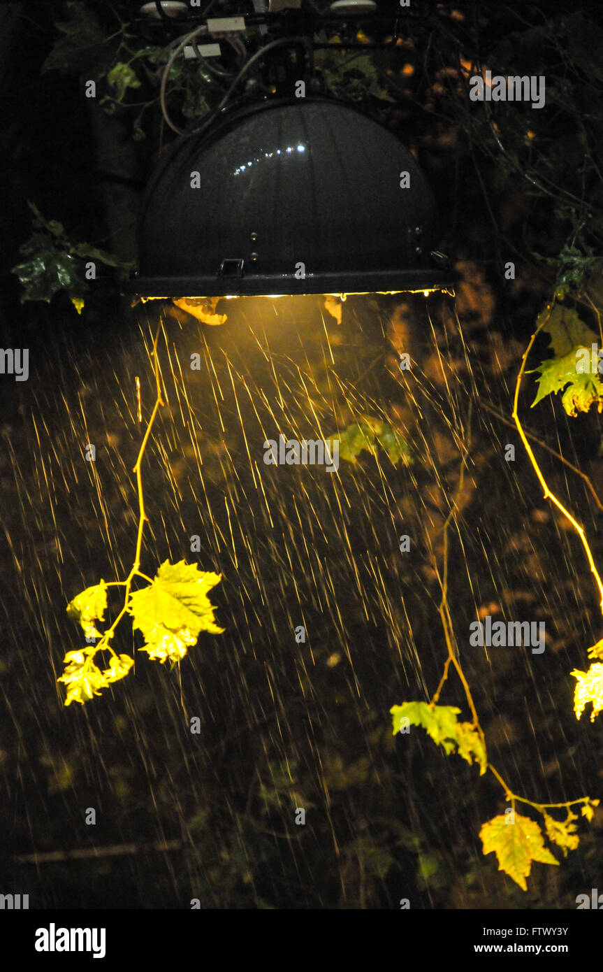 Rain under the street lights Stock Photo - Alamy