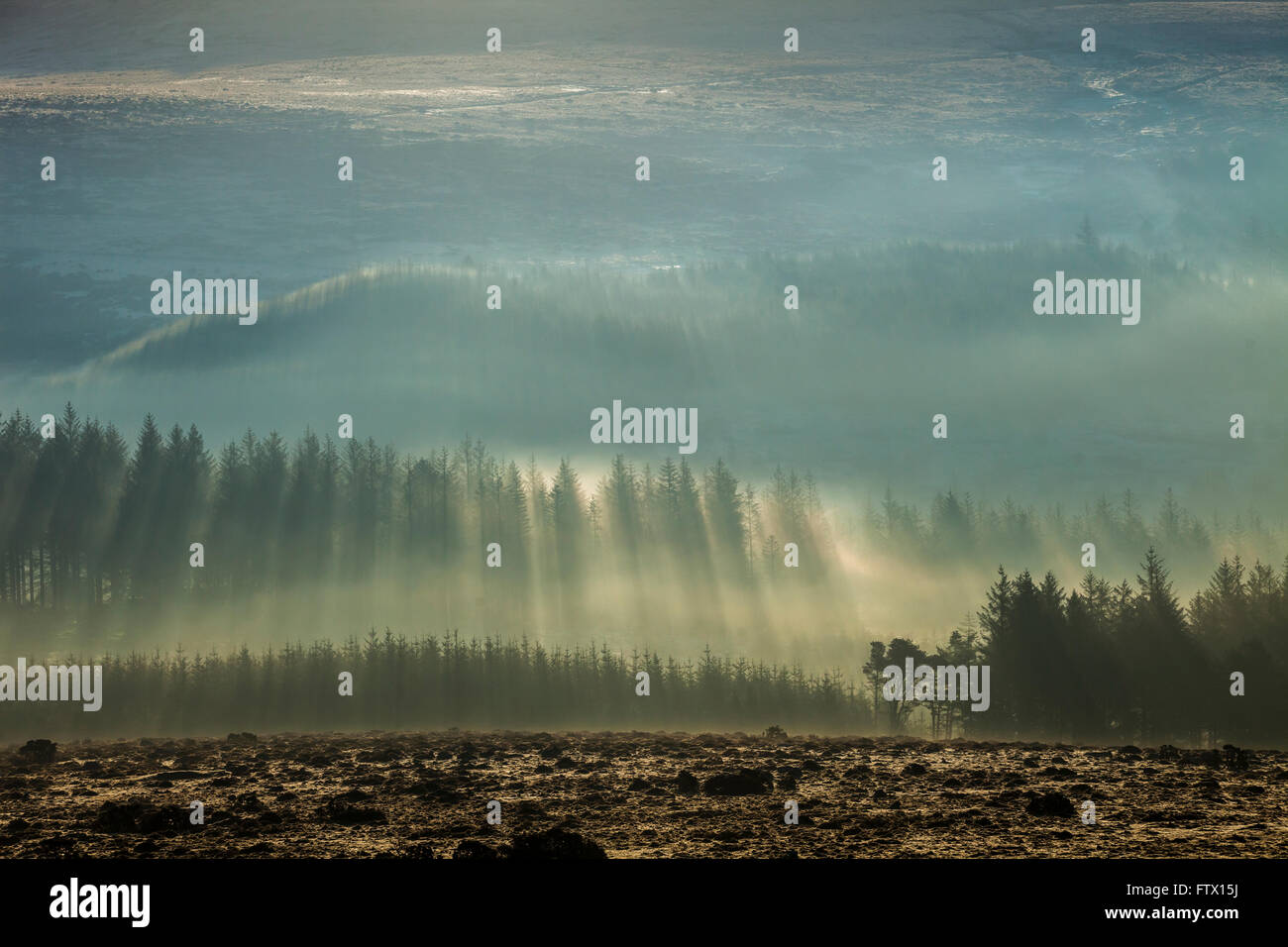 Devon countryside sunshine spring hi-res stock photography and images ...