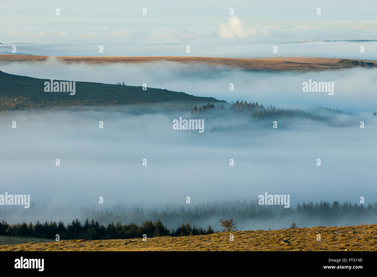Spring dawn in Dartmoor National Park, Devon, England Stock Photo - Alamy