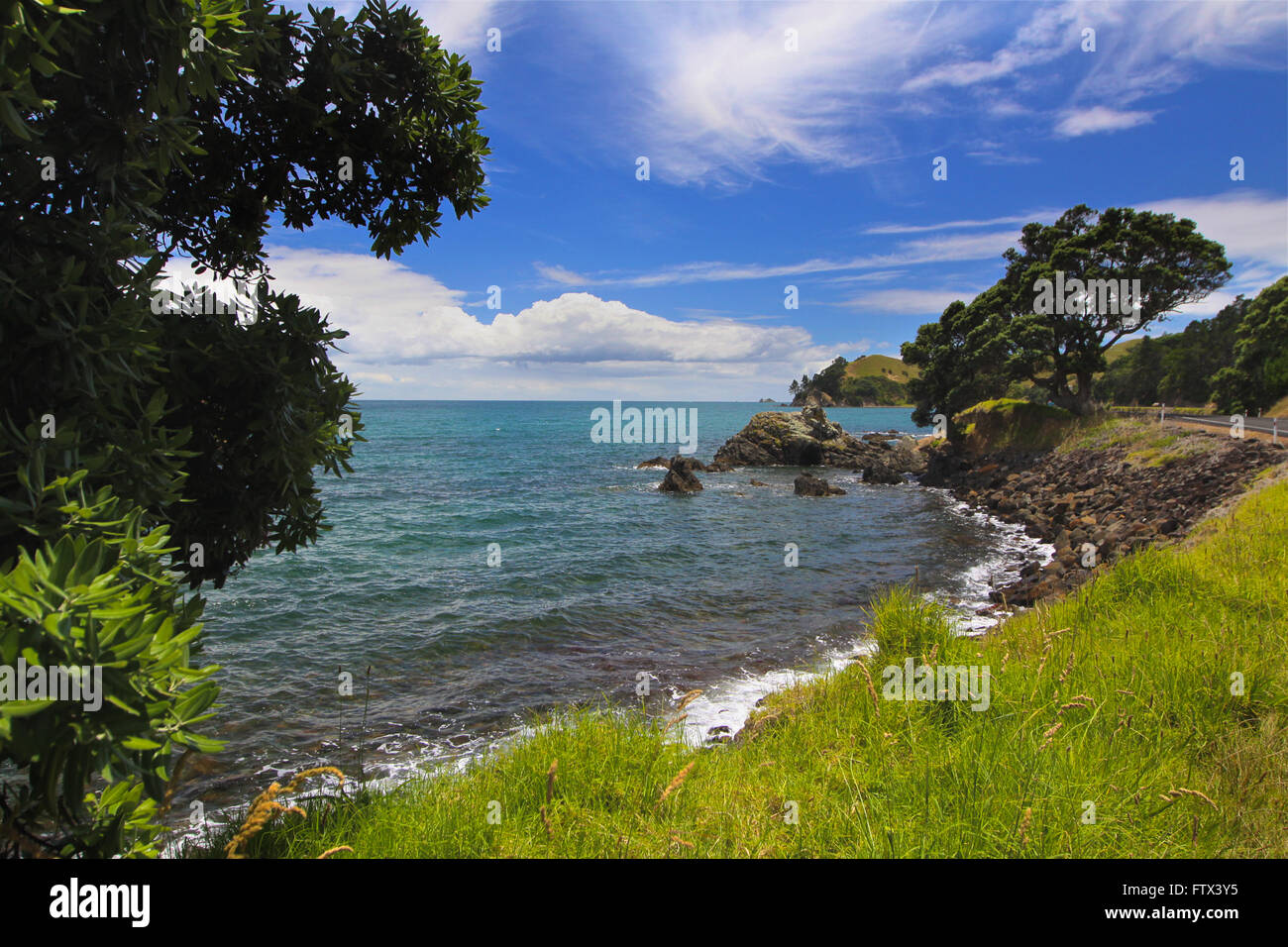 Ocean shore in New Zealand, on the road trip across North Island ...