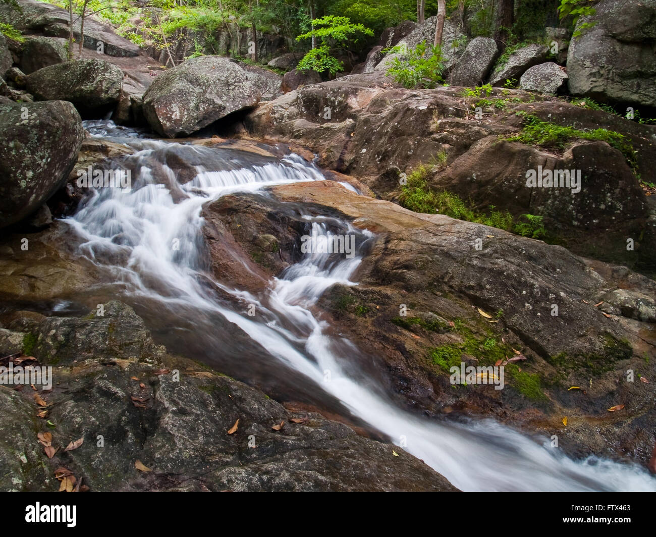 You yang national park hi-res stock photography and images - Alamy