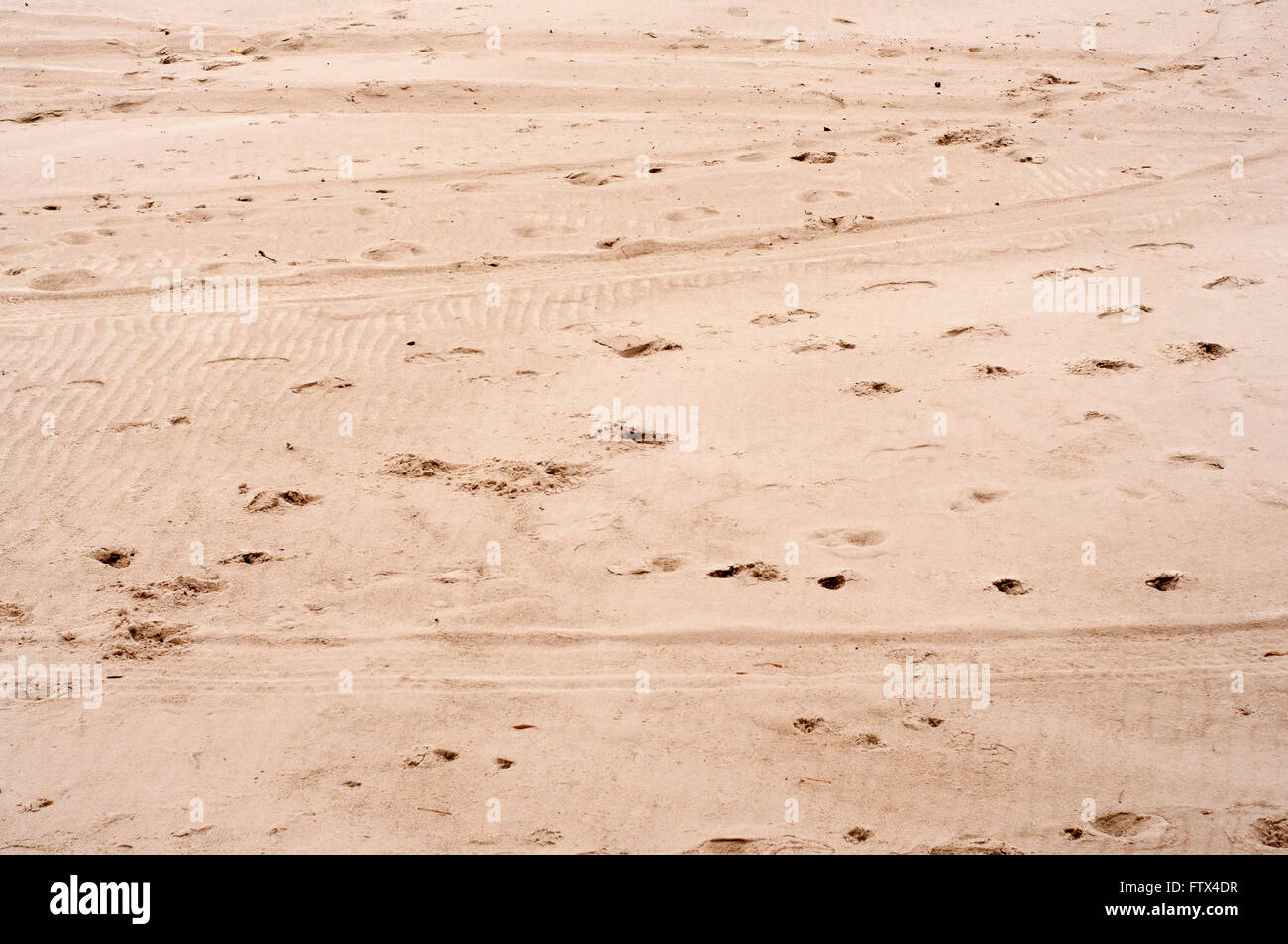 Trace On Sand Stock Photo - Alamy