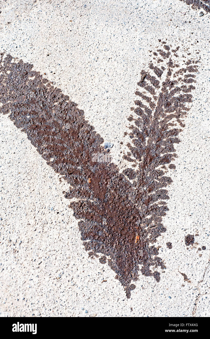 Check and trace hi-res stock photography and images - Alamy