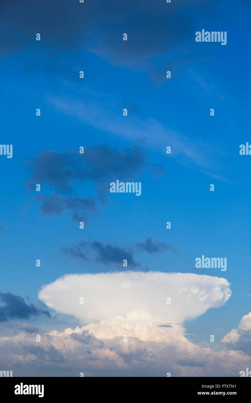 Mushroom shaped cloud hi-res stock photography and images - Alamy