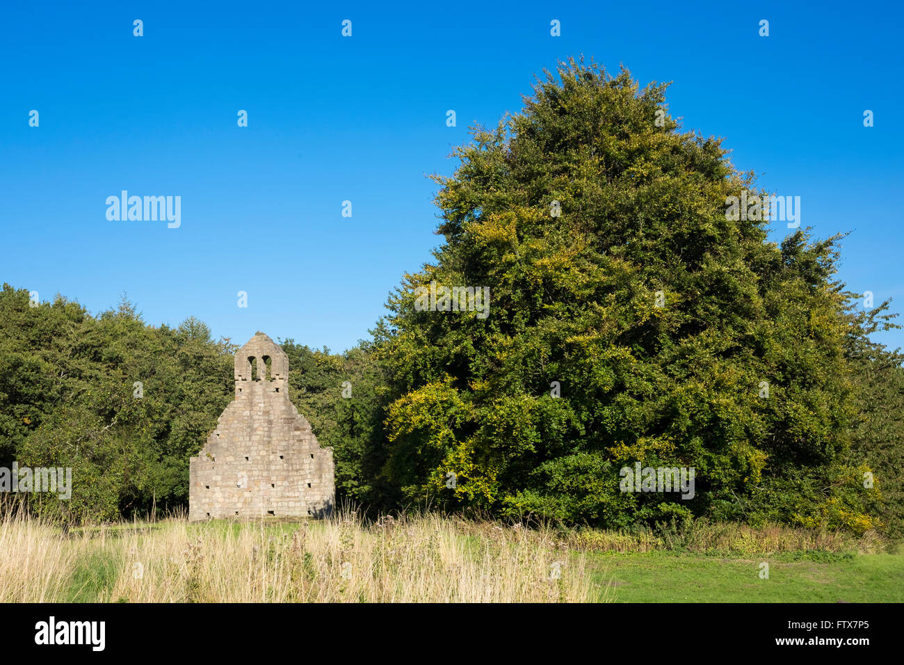 Triangular trees hi-res stock photography and images - Alamy