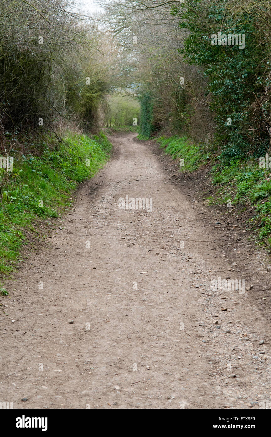 English woodland lane hi-res stock photography and images - Alamy