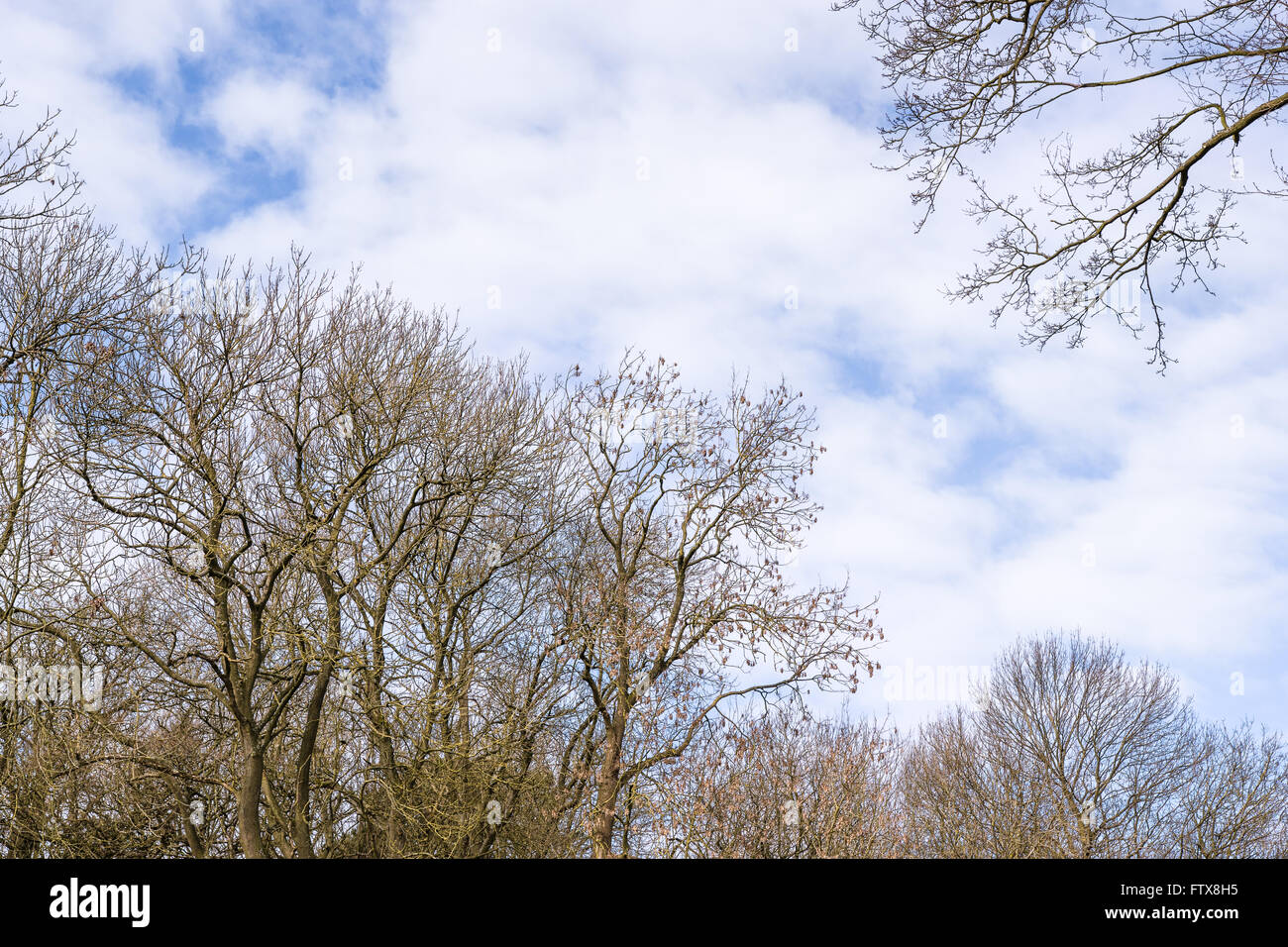 Cheerful cheery hi-res stock photography and images - Alamy