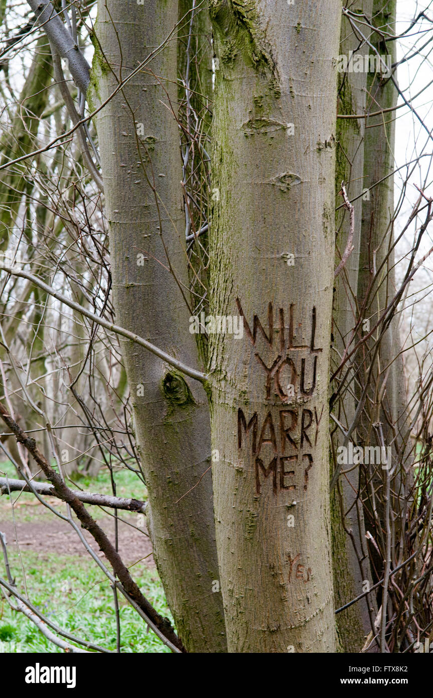 Marriage proposal unusual hi-res stock photography and images - Alamy