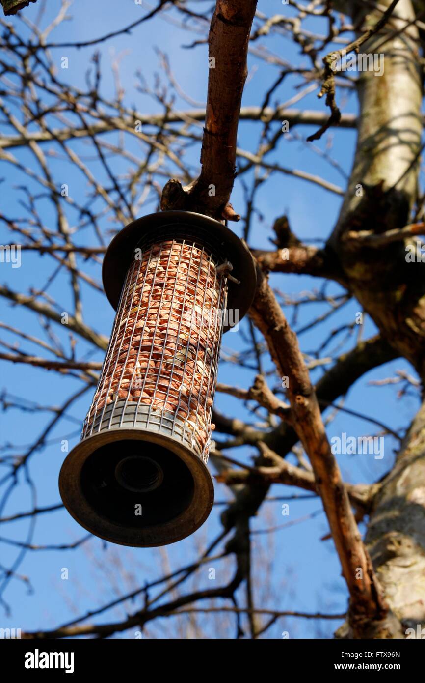 Nuts bird feeder garden hi-res stock photography and images - Alamy
