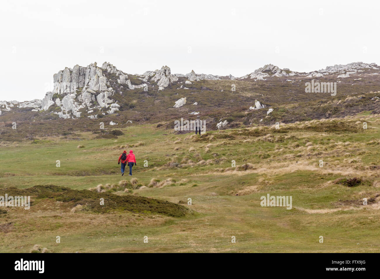 TOURISTS NEAR GYPSY COVE, PORT STANLEY, FALKLAND ISLANDS - CIRCA ...